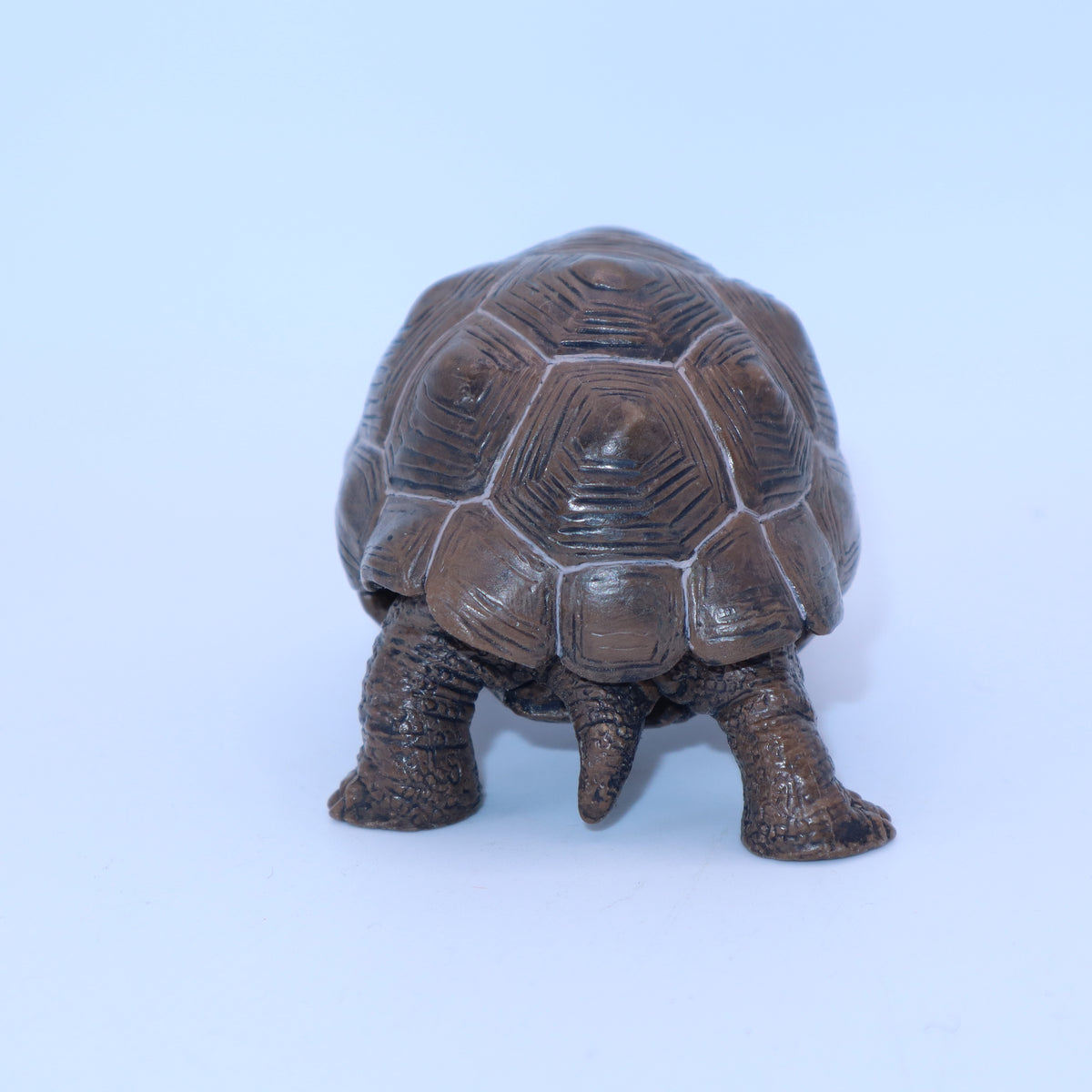 Papo Galapagos Tortoise – geekedouttoys