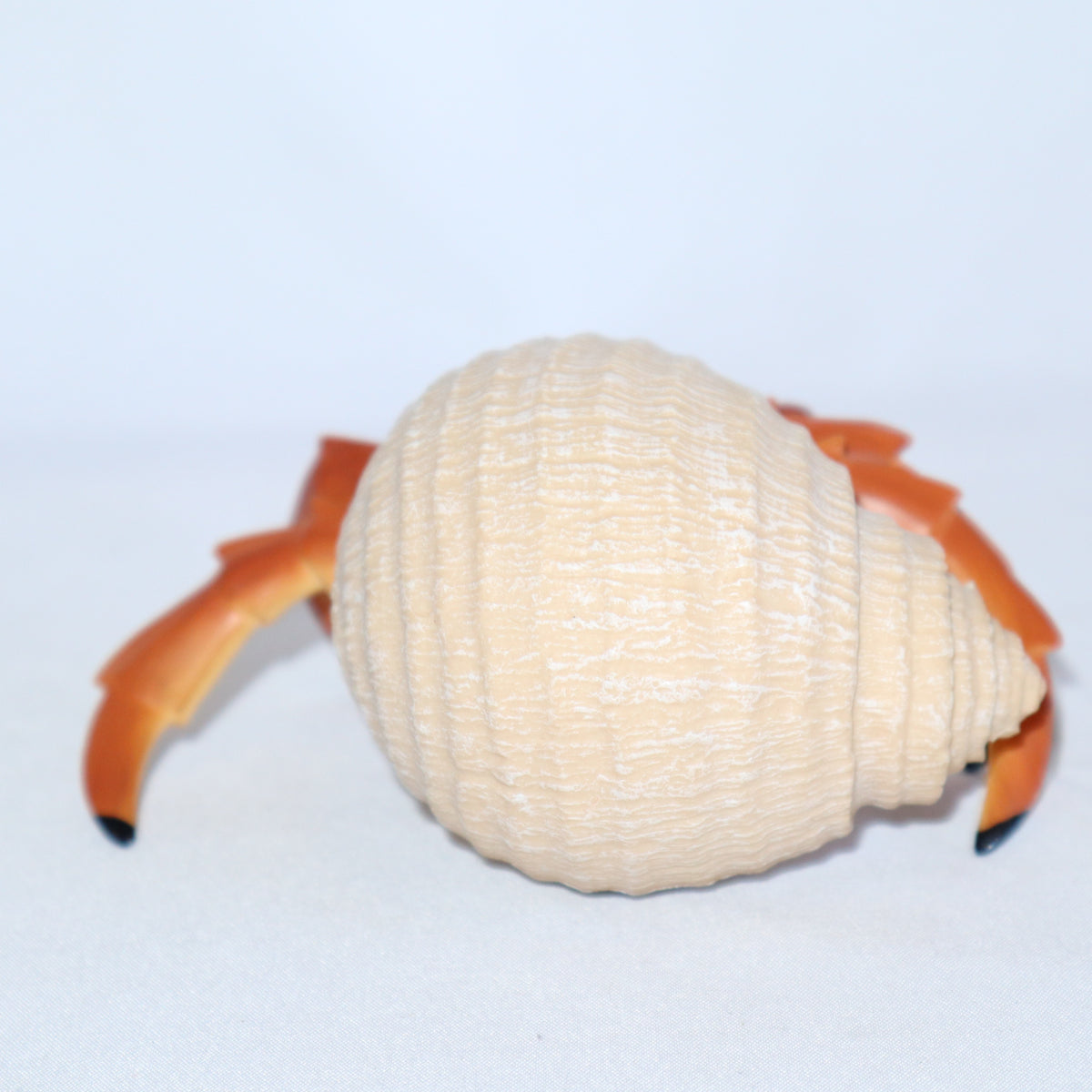 Safari Ltd Hermit Crab – geekedouttoys